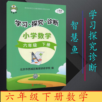 2022春学习探究诊断小学数学六年级下册人教版 智慧鱼 北京市西城区教育研修学院