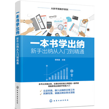 从新手到高手系列：一本书学出纳