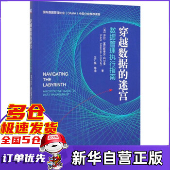 穿越数据的迷宫(数据管理执行指南)