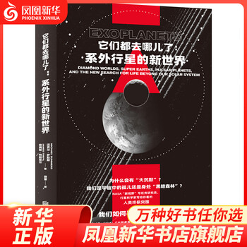 它们都去哪儿了：系外行星的新世界  外行星及科学进展读物 天文学科普读物 凤凰新华书店旗舰店