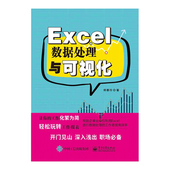 Excel数据处理与可视化