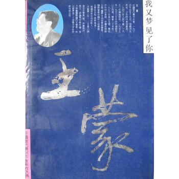 我又梦见了你 9787800395444 王蒙