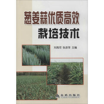 葱姜蒜优质高效栽培技术