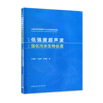 现货低强度超声波强化污水生物处理