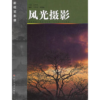 风光摄影(新视觉影像)王传东山东社有限公司9787533018634 摄影书籍