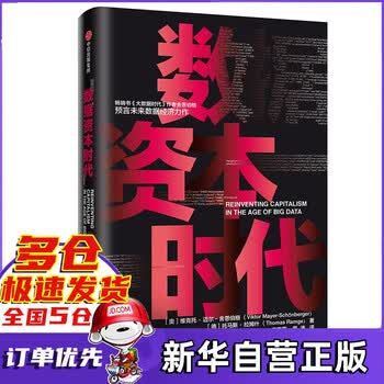 数据资本时代(精)