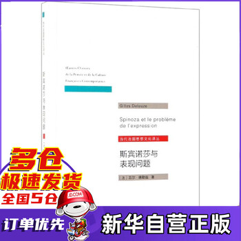 斯宾诺莎与表现问题/当代法国思想文化译丛