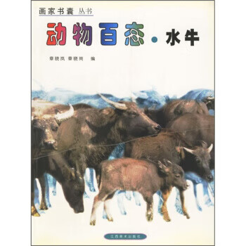 动物百态水牛【，放心购买】