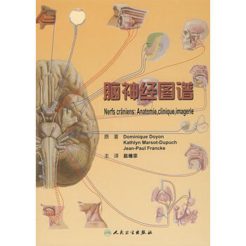脑神经图谱 赵继宗　主译【正版书】