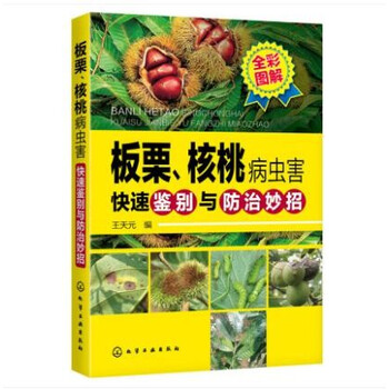 板栗核桃病虫害快速鉴别与防治妙招 王天元