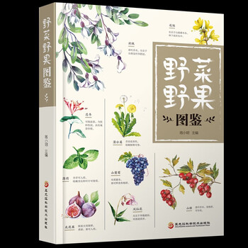 野菜野果图鉴中国常见植物野外识别手册野外识别速查图鉴野生植物身边常见彩色生活百科书籍 美味小炒实用小百科