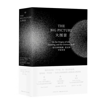 大图景 论生命的起源、意义和宇宙本身