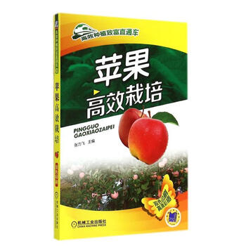 苹果高效栽培 张力飞 种植业 