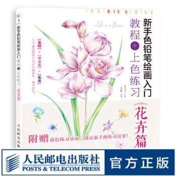 新手色铅笔绘画入门 教程+上色练习 花卉篇