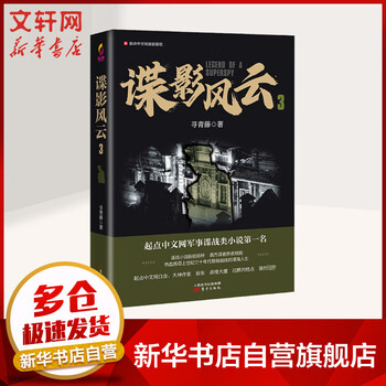 谍影风云 3