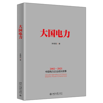 大国电力 2002—2021中国电力企业成长叙事 贯穿2002年电力企业改革元年和2021年第二个百年目标的起点 秉持未来观
