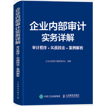 企业内部审计实务详解 审计程序 实战技法 案例解析