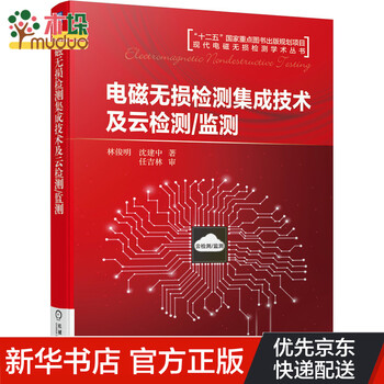 电磁无损检测集成技术及云检测/监测