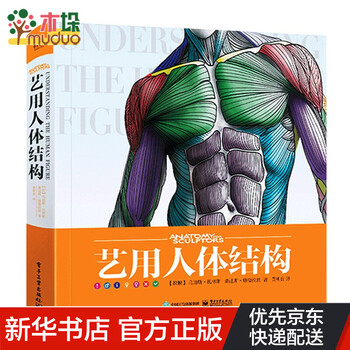 艺用人体结构(全彩精装)