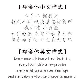人民日报金句摘抄高考作文公务员素材规范正楷楷书学生钢笔练字帖 瘦金体