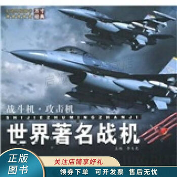 世界著名战机战斗机攻击机 李大光