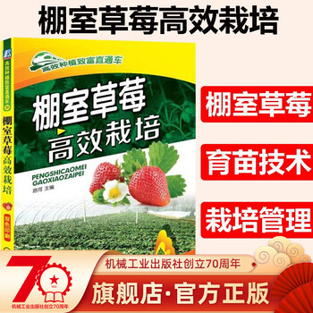 棚室草莓高效栽培 路河 主编 草莓科学栽培种植技术 大棚草莓种植教程 草莓育苗栽培管理无土栽培教程书籍