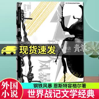 钢铁风暴 恩斯特容格尔著 战记文学德国文学 人民文学出版社官方正版