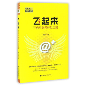 飞起来(开启互联网转型之路)/FX168新引擎丛书