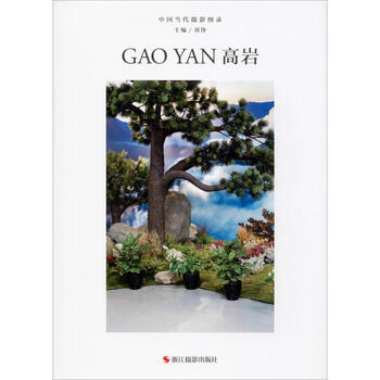 中国当代摄影图录 高岩
