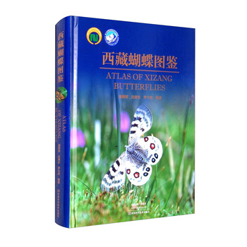 西藏蝴蝶图鉴