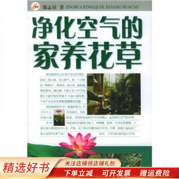净化空气的家养花草 邬志星