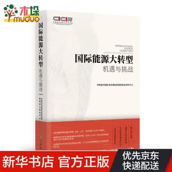 国际能源大转型(机遇与挑战)