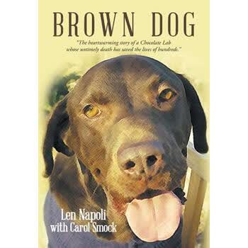 Brown Dog