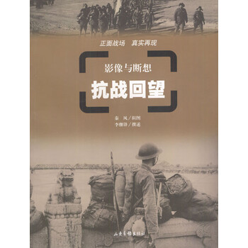 影像与断想16开简装本 李继锋  撰述 秦风