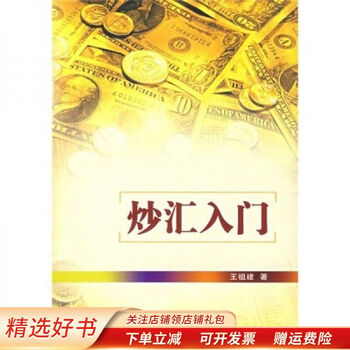炒汇入门 王祖建