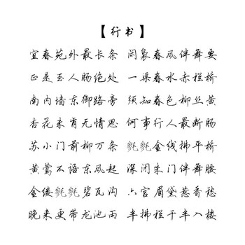 2022年公务员申论范文考试字帖国考公考行书楷书临摹钢笔练字帖 行书套餐四：具体见详情页