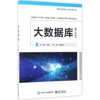 大数据库 刘鹏 电子工业出版社