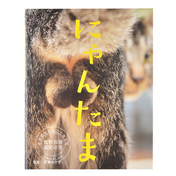 日版 猫写真 にゃんたま
