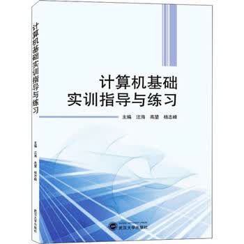 计算机基础实训指导与练习