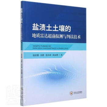 盐渍土土壤的达超前探测与判读技术电子与通信盐渍土地区电磁法勘探本科及以上图书