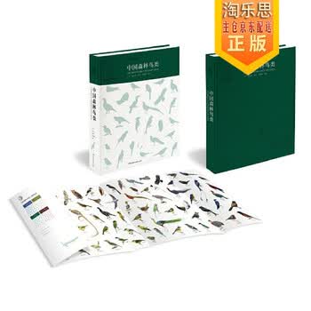 中国森林鸟类(精)