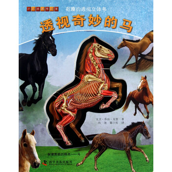 透视奇妙的马/有趣的透视立体书