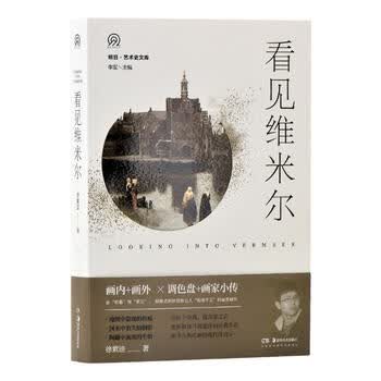 看见维米尔 图书
