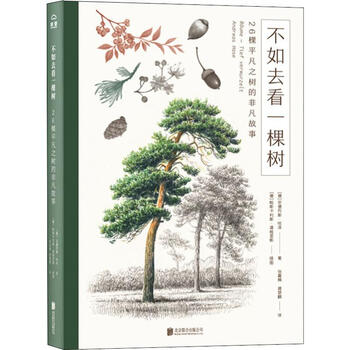不如去看一棵树 26棵平凡之树的非凡故事