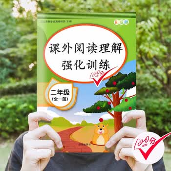 老师 2020版二年级课外阅读理解强化专项训练小学生语文课外阅读书阅读上下册人教版阅读理解二年级