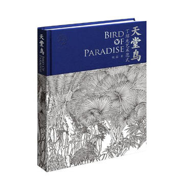 天堂鸟：丁绍光艺术范式 艺术 书籍