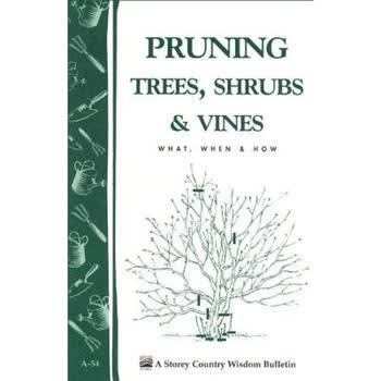 Pruning Trees, Shrubs and Vines