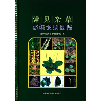常见杂草系统识别图谱
