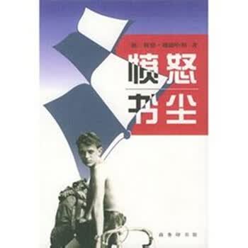 愤怒书尘