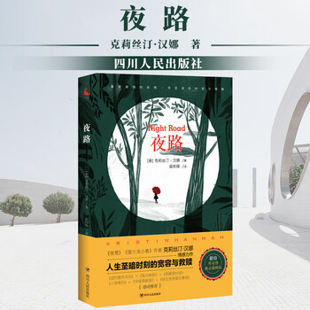 夜路 人生至暗时刻的宽容与救赎 国外经典小说 情感/家庭/婚姻书籍 克莉丝汀·汉娜著 四川人民出版社